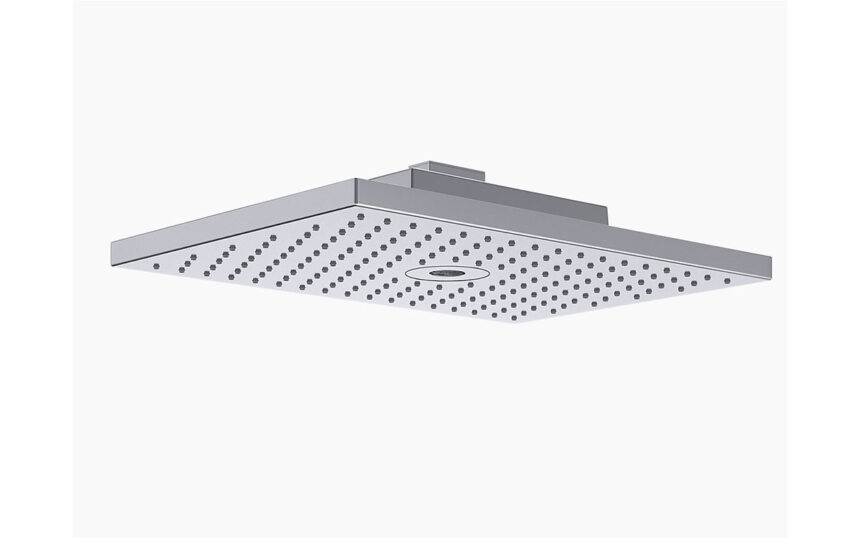 Kohler Modern Life Dual Flow Rainhead & Arm
